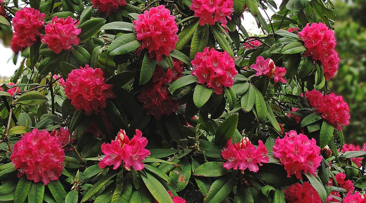 Explore Uttarakhand - Gokeys India - Travel In Himalayas