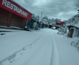 Fresh Snow Fall in Mussoorie and Dhanaulti - Gokeys Travel In Himalayas